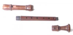 Introducing the Recorder | Learn Recorder